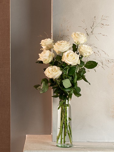 De mooiste witte bloemen | Fleurop.nl