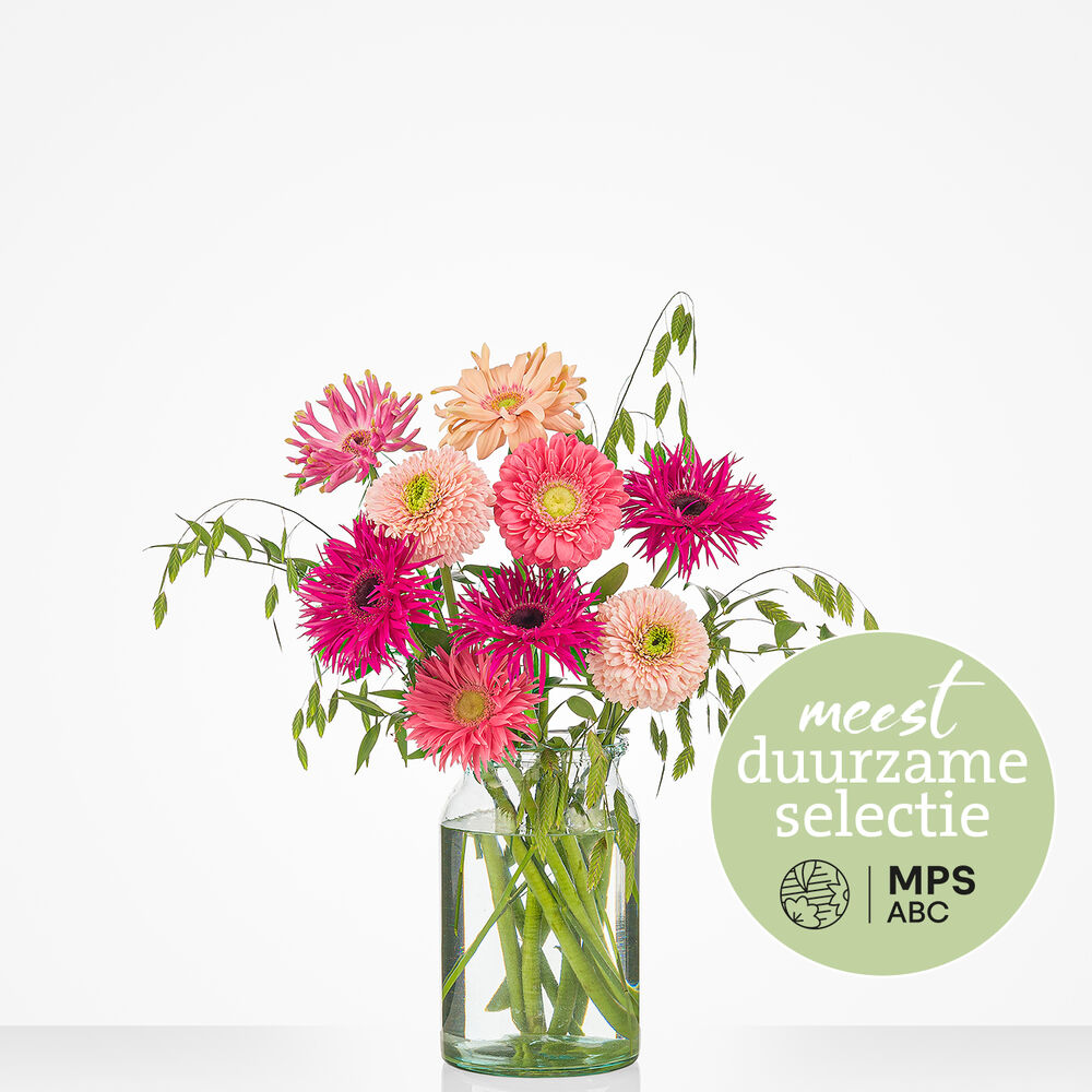 Groen Gekeurd gerbera boeket | Meest duurzame bloemen
